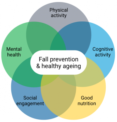 The importance of healthy ageing – NSW Fall Prevention and Healthy ...